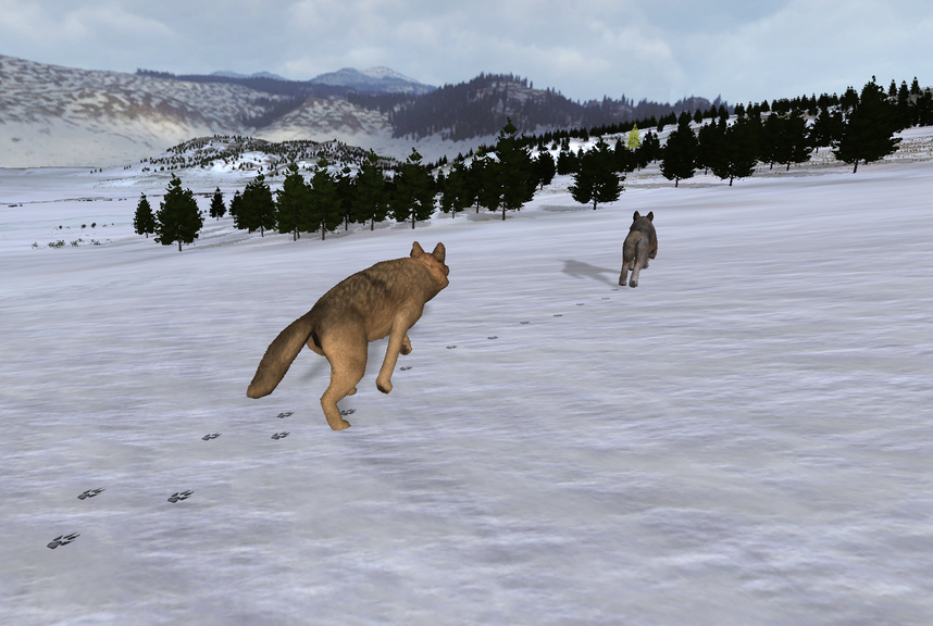 WolfQuest Diamond Team: Wolf Quest 2.7 - Novas fotos!