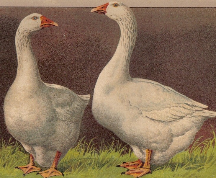 lostpastremembered: Game of the Goose Meatballs, 3 Different Ways