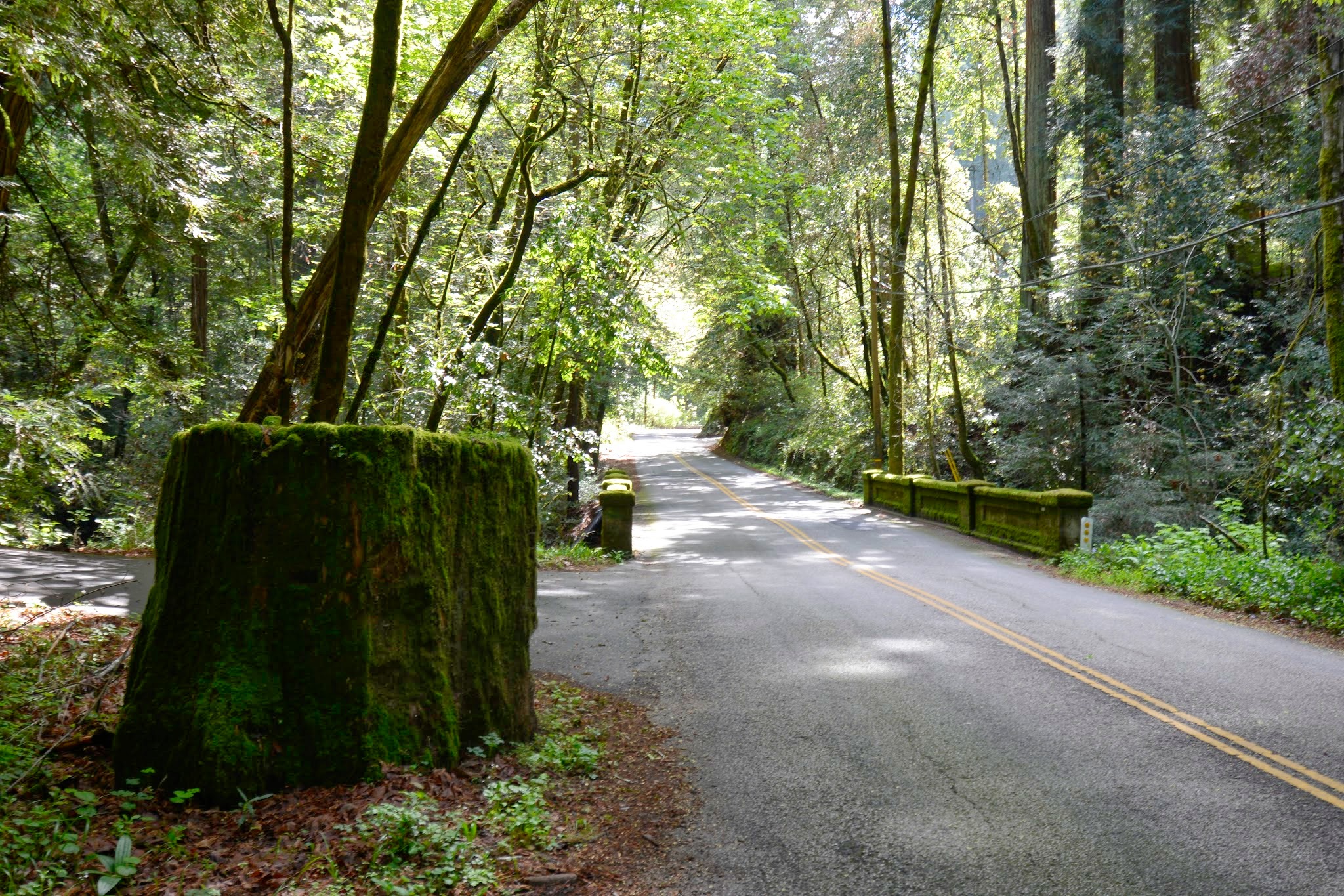 Bridge of the Week: Santa Cruz County, California Bridges: Glenwood ...