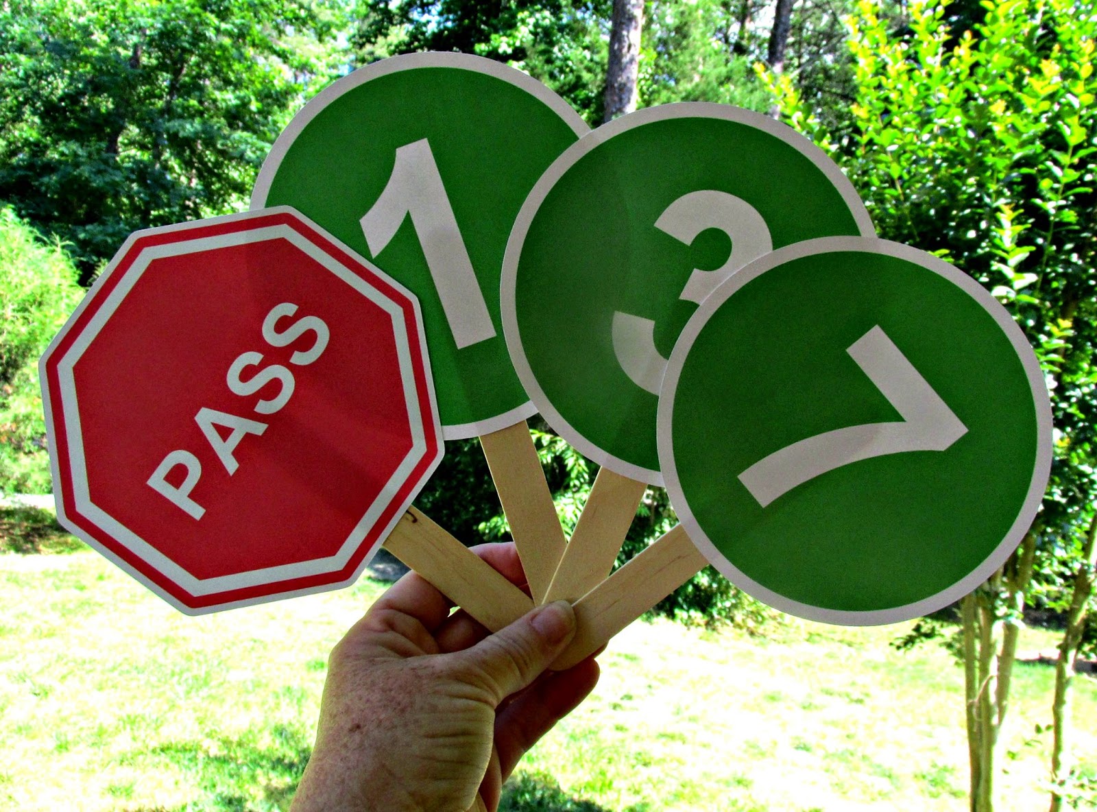 Missy Made It!: Custom Voting Paddles