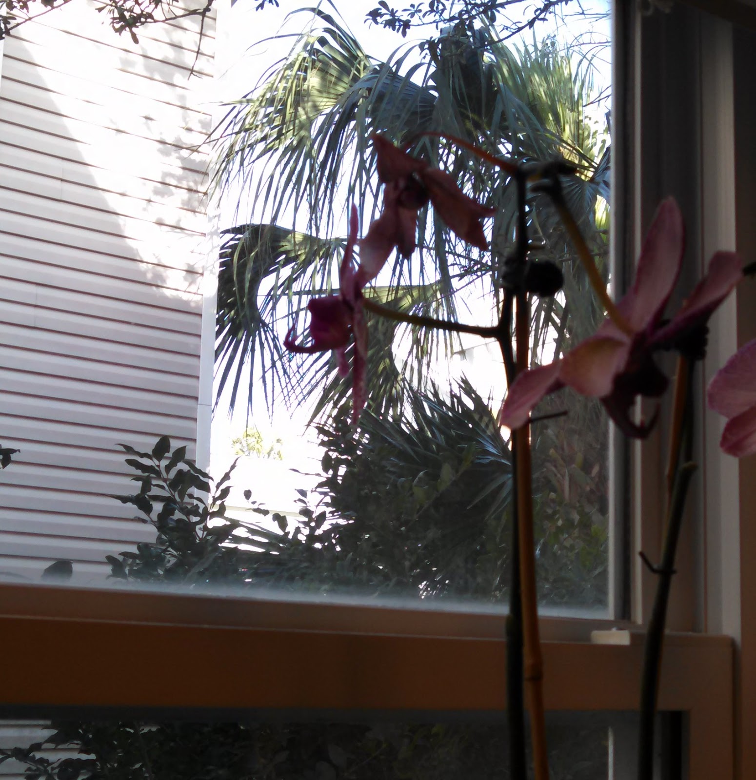 Leisure Lines: The View Out Your Windows