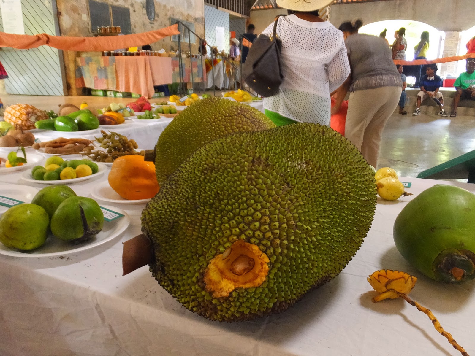 Humanity Squared: St. Croix Mango Melee and July 4th Fireworks