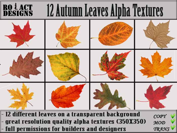 Ro!Act Designs: ..::RO!ACT::..DESIGNS 12 Autumn Leaves Alpha Textures