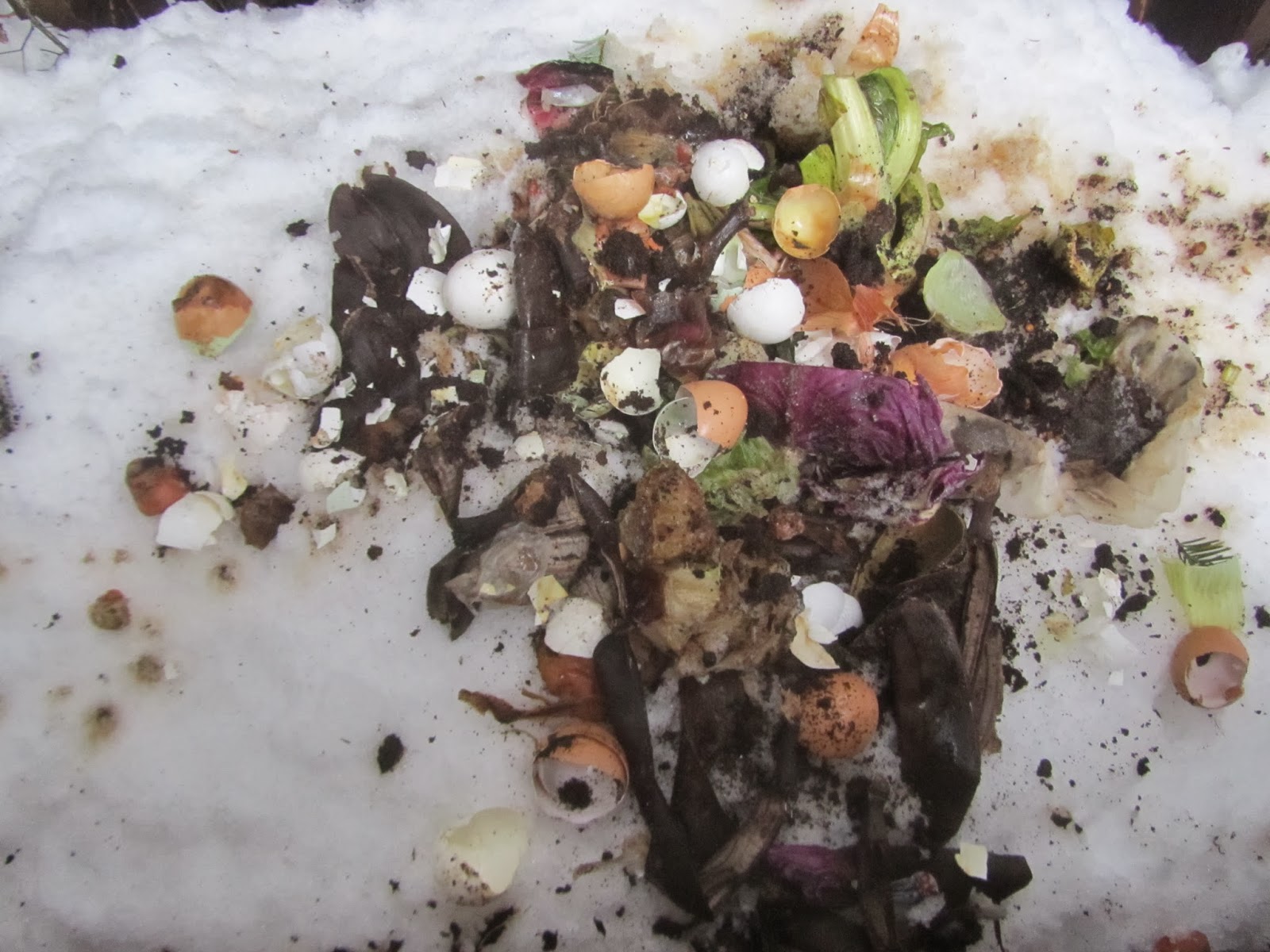 Jen & the Bean stalk: The good... the bad... and the ugly!