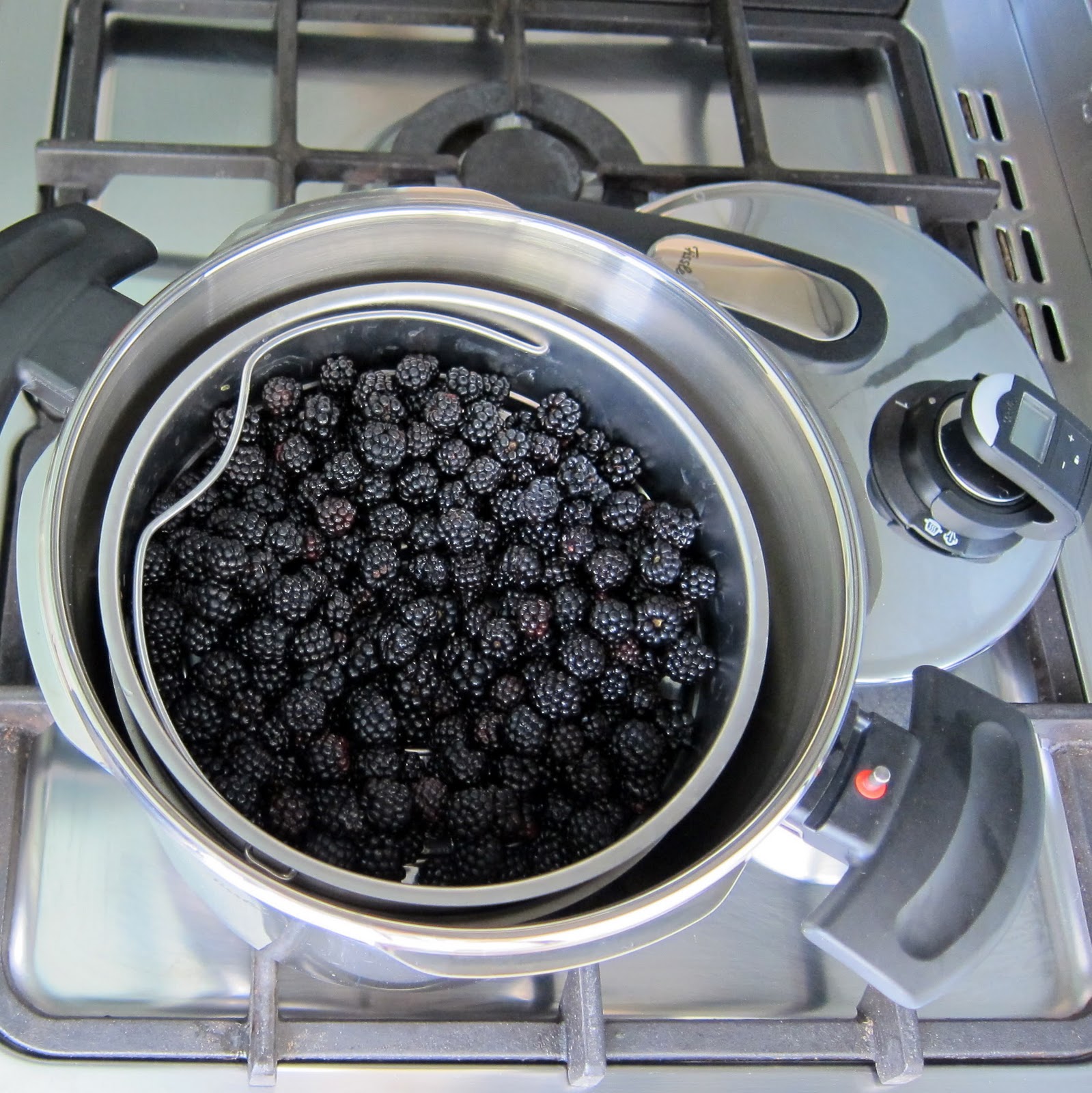 10 HOTTEST Pressure Cooker Recipes of 2011 …and why they’re sooo ...