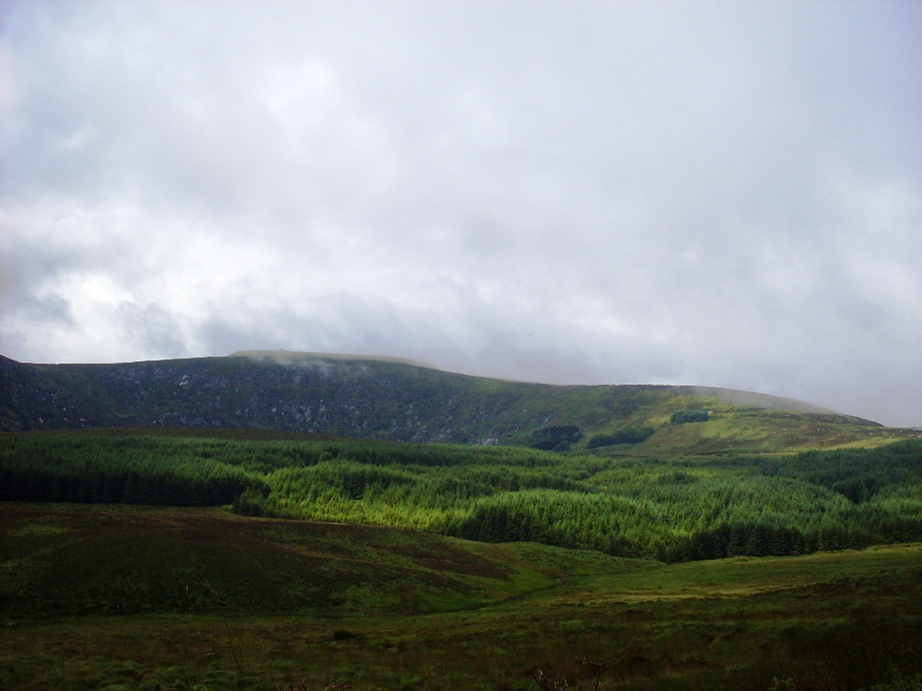 ☆Sharon's Sunlit Memories☆: An Unexpected Adventure