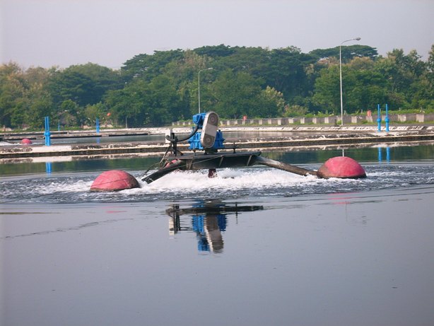 Environmental Engineering: Tugas: Perencanaan IPLT Sewon