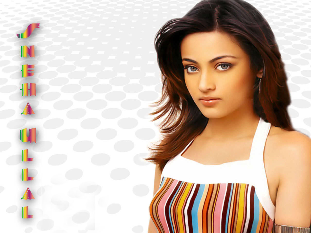 sneha ullal hd wallpapers | full hd Wallpapers