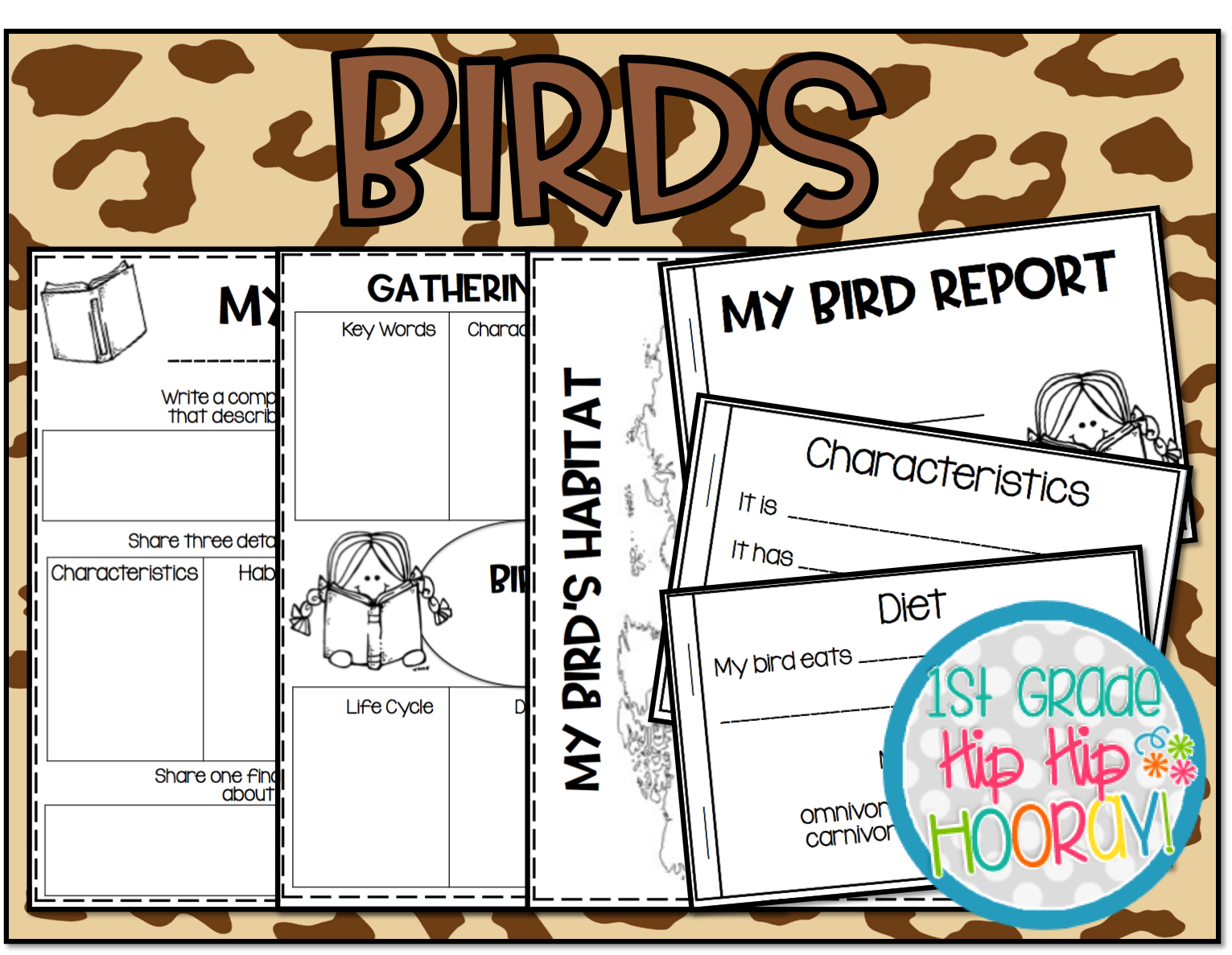 1st Grade Hip Hip Hooray!: Let's Explore Birds