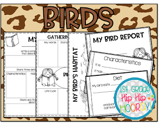 1st Grade Hip Hip Hooray!: Let's Explore Birds