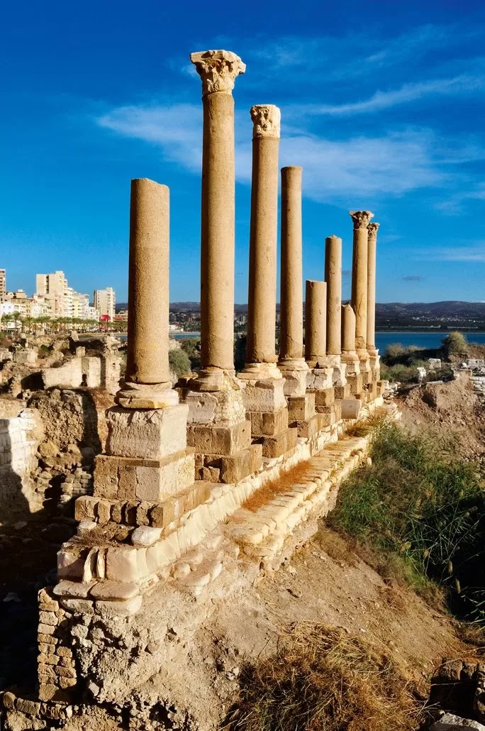 Almacén de clásicas: TARTESSOS: EN BUSCA DEL REINO PERDIDO