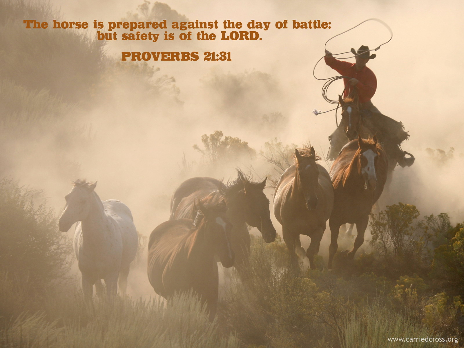 Foundations Of My Faith Proverbs 21 31 Foundations Of My Faith Proverbs 21 31