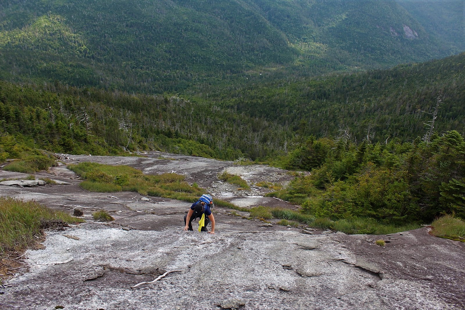 Walking Man 24 7: Mount Colden's SE Slide(Adirondack High Peaks)
