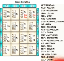 Kode Genetika Oleh Para Ahli - Biologisites