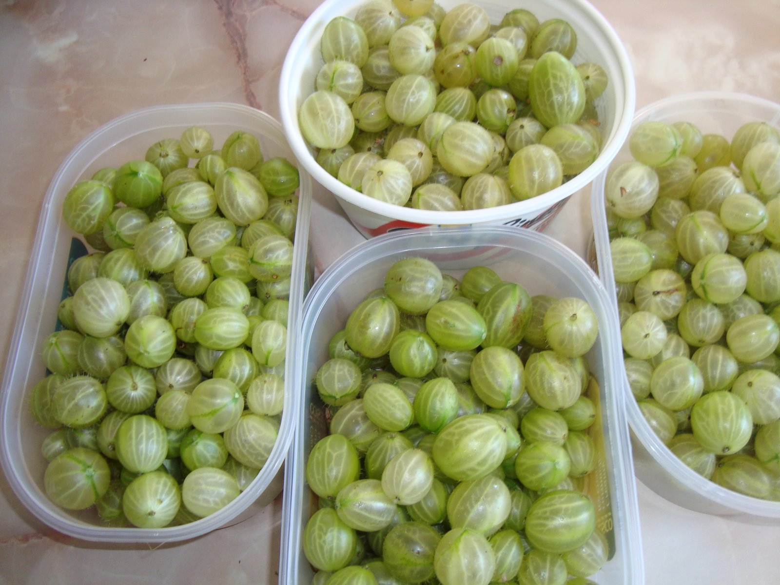 Wendy's Culinary Delights: Gooseberries