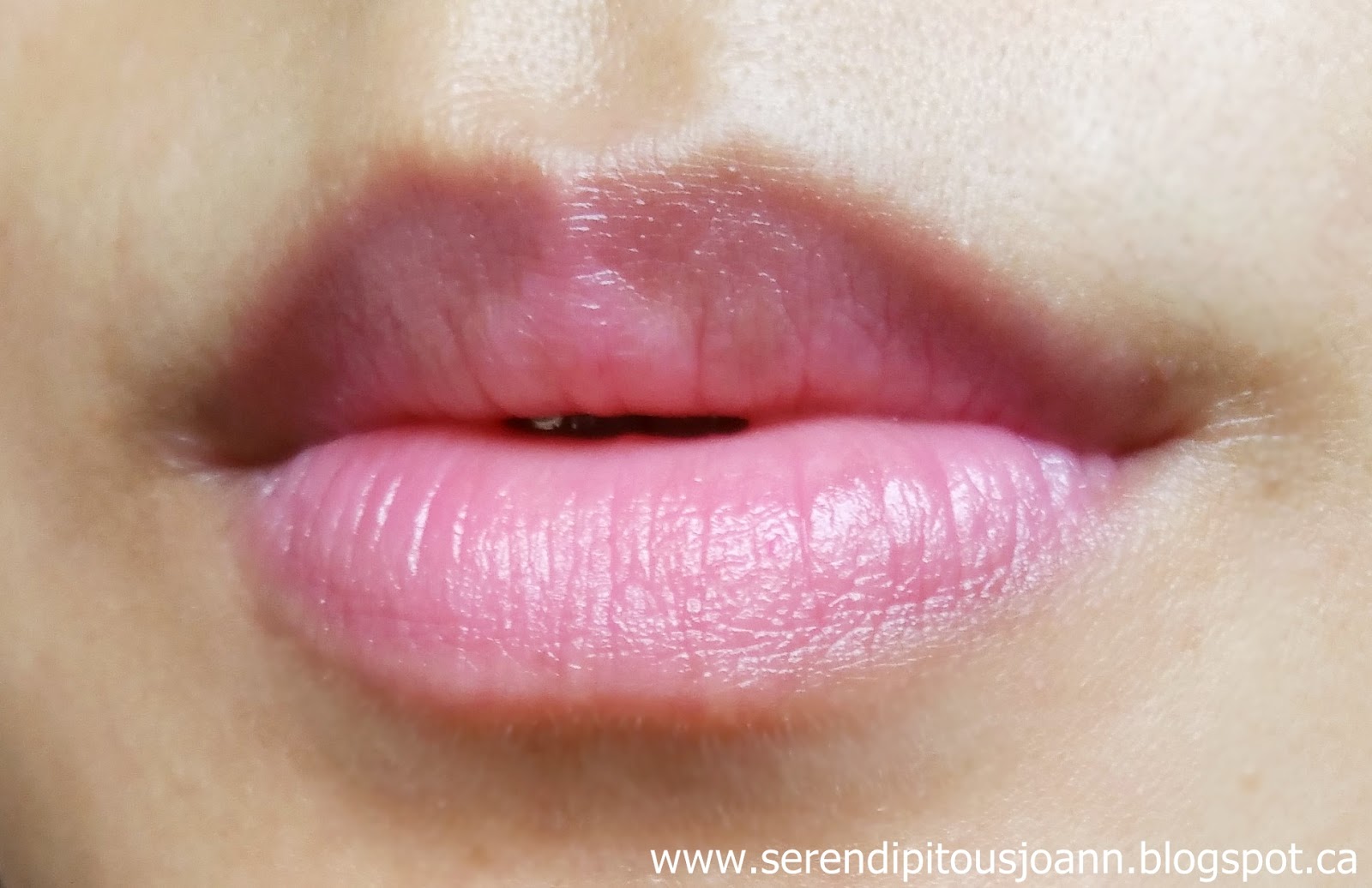 My Serendipities: Holika Holika: Limited edition Dodo Cat Lip Tint Bar ...