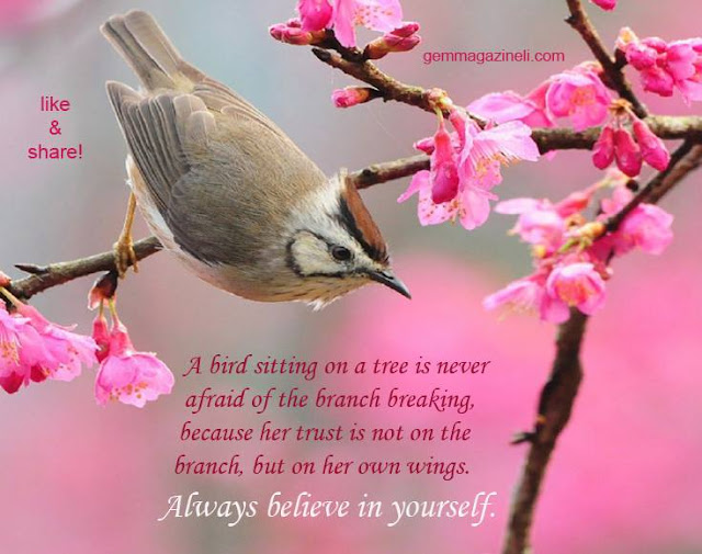 Gem Magazine Long Island Inspiration & Empowerment