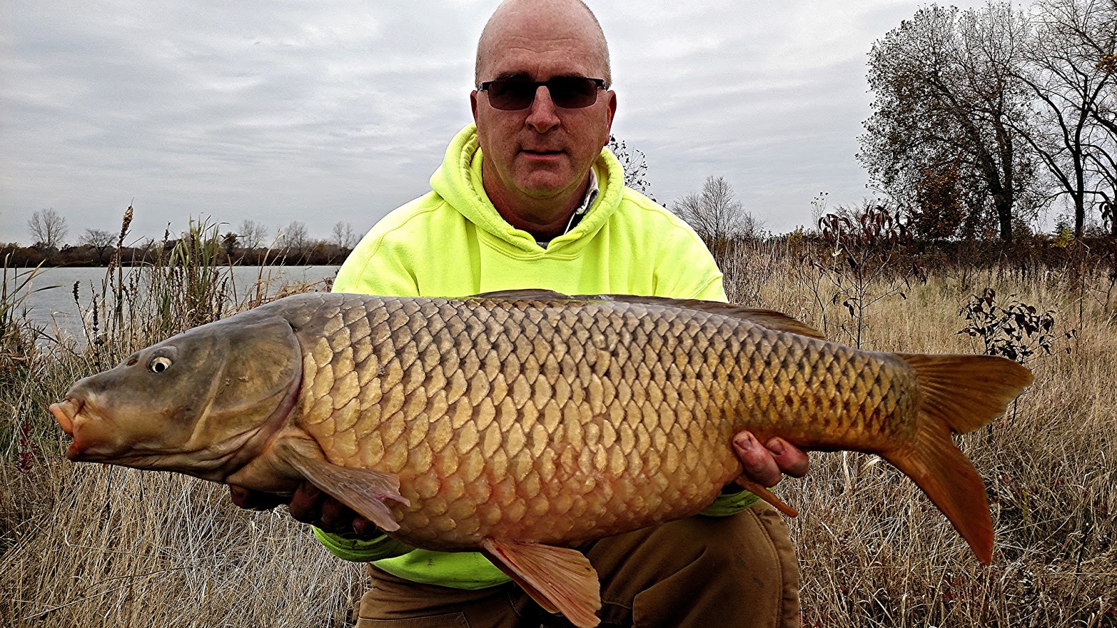Michigan Carp Fishing Blog: Fully Scaled Mirror and Nice Mid-20's ...
