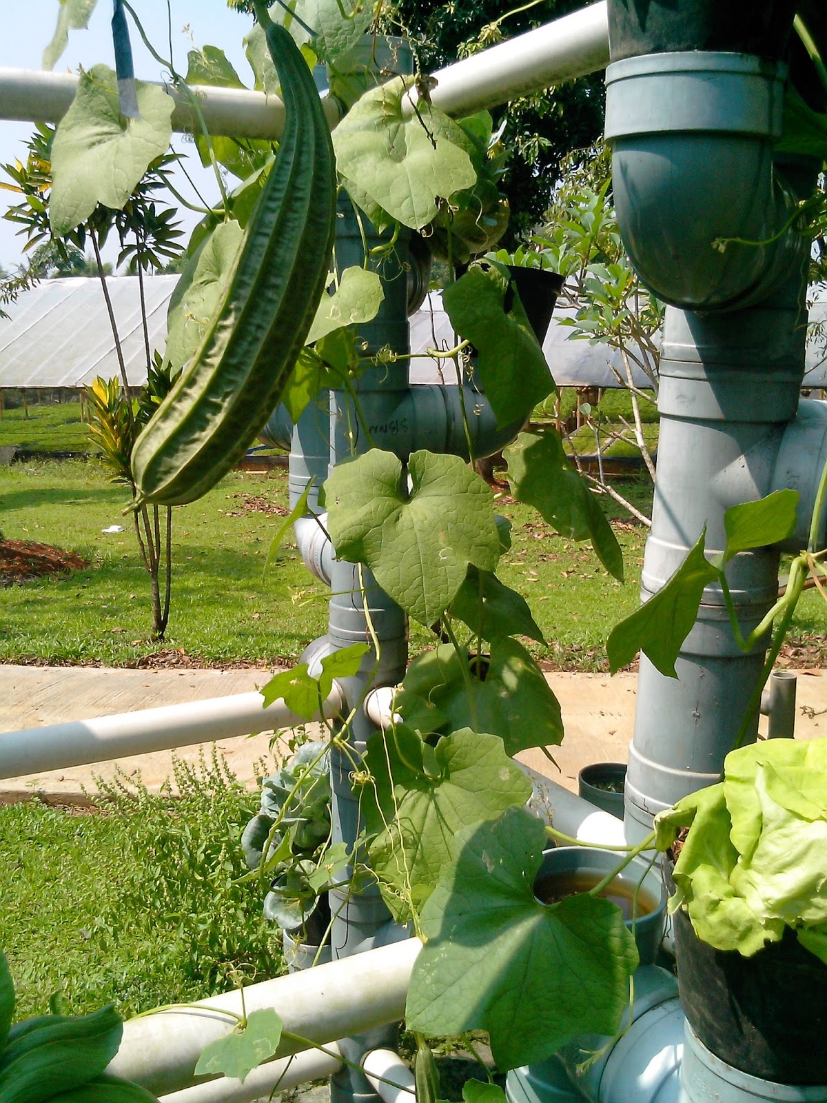 Writing is healing!: Berkunjung ke Parung Farm