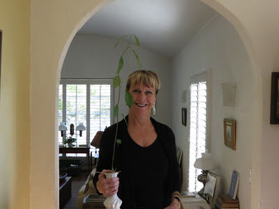 Sharon Lovejoy: Gatherings and Give-Aways