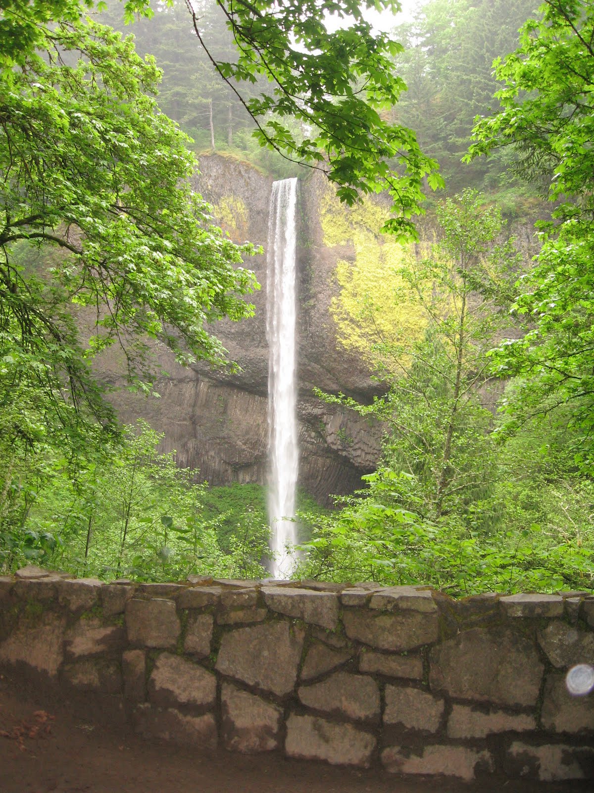 Seeking Serendipity:: A Banquet of Oregon Waterfalls
