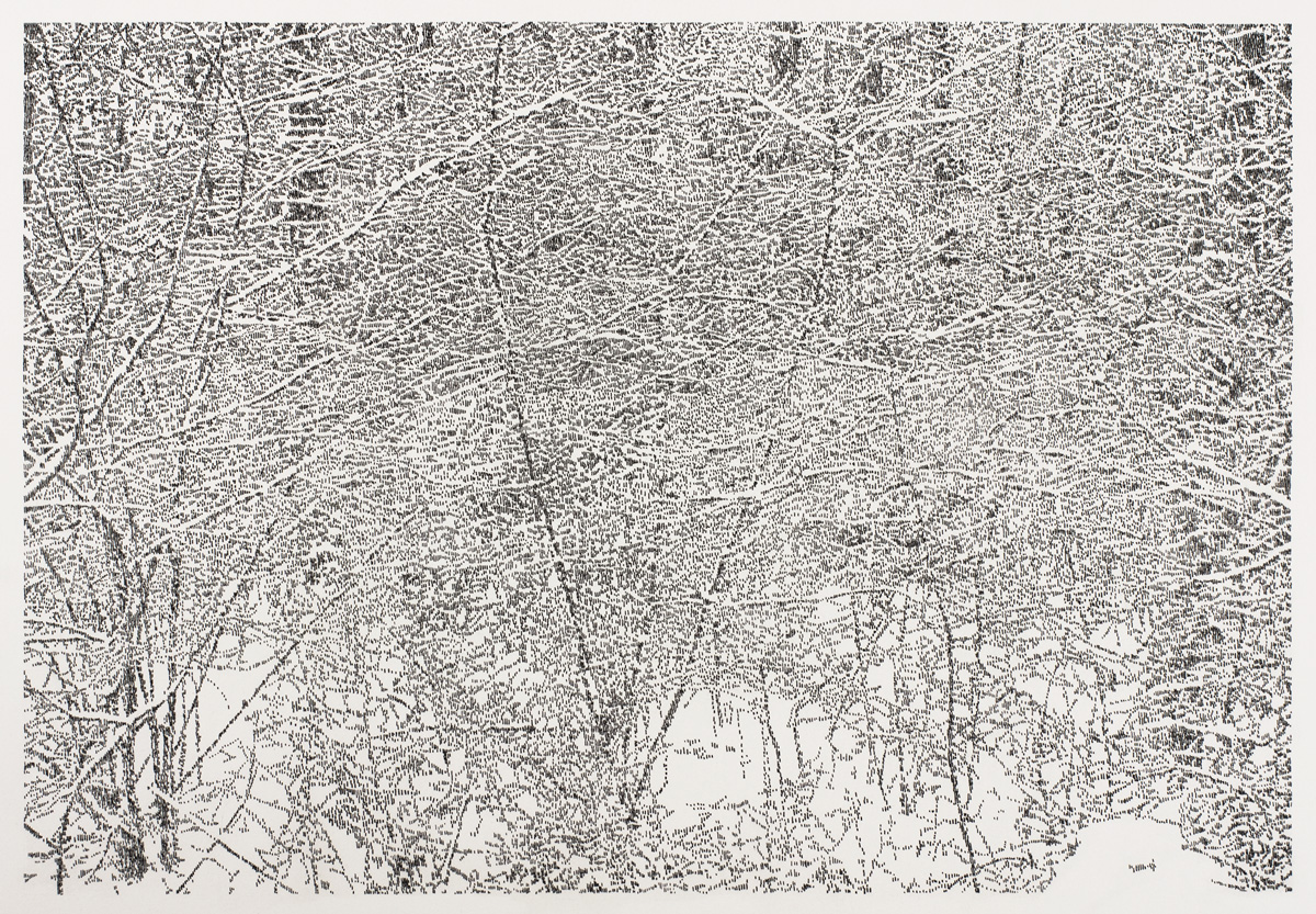 Richard Müller: Dessins récents, 2012