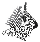 KARACHI ZEBRAS ~ PPL T20 | PAKISTAN PREMIER LEAGUE T20