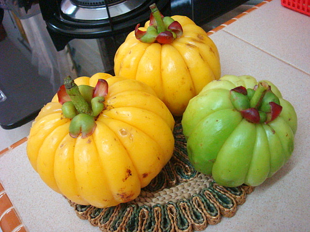 Pieces of Lin: Buah Asam Gelugor