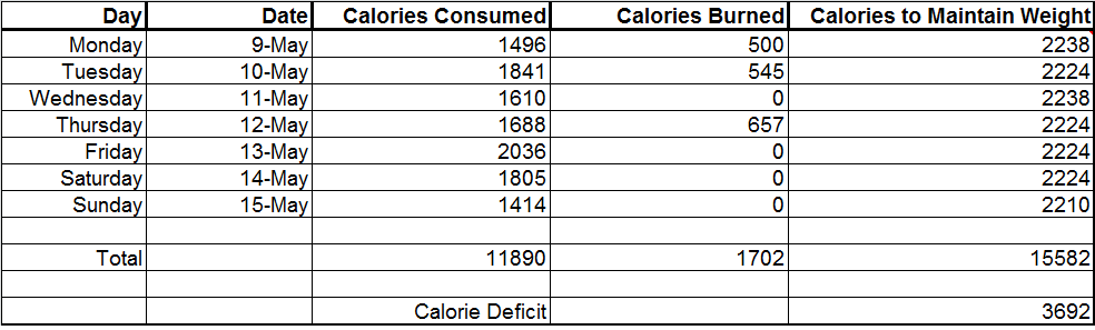 Kayyak's Journey: Week 8 Calorie Deficit, Exercise Journals ...