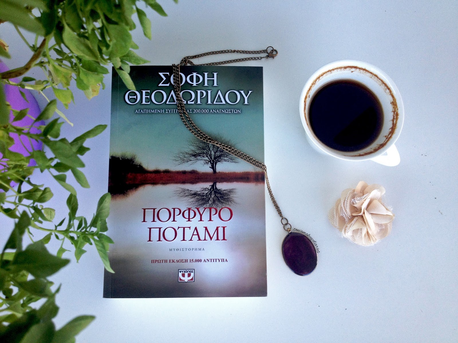 ToniaMakeUpDiaries: #Bookstories: Πορφυρο Ποταμι
