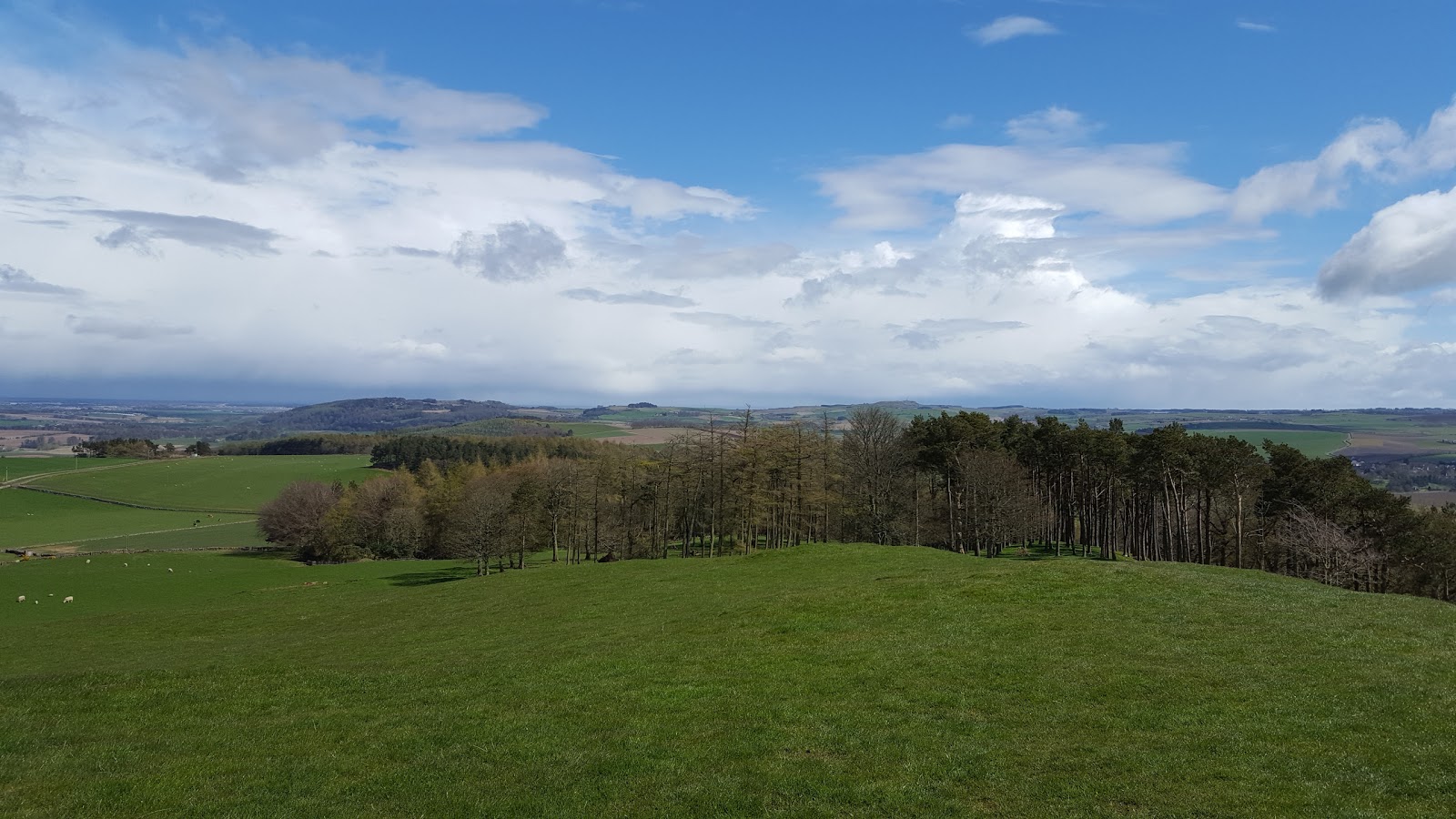 Neil's Hillwalking Exploits: Hill of Tarvit