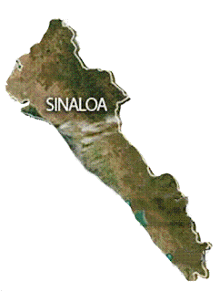 MI RESPUESTA: MONTAÑAS Y RIOS DE SINALOA