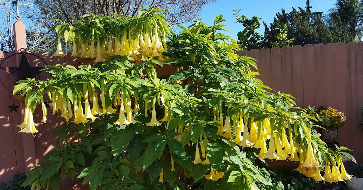 Here We Go!: A medical update for Clyda.