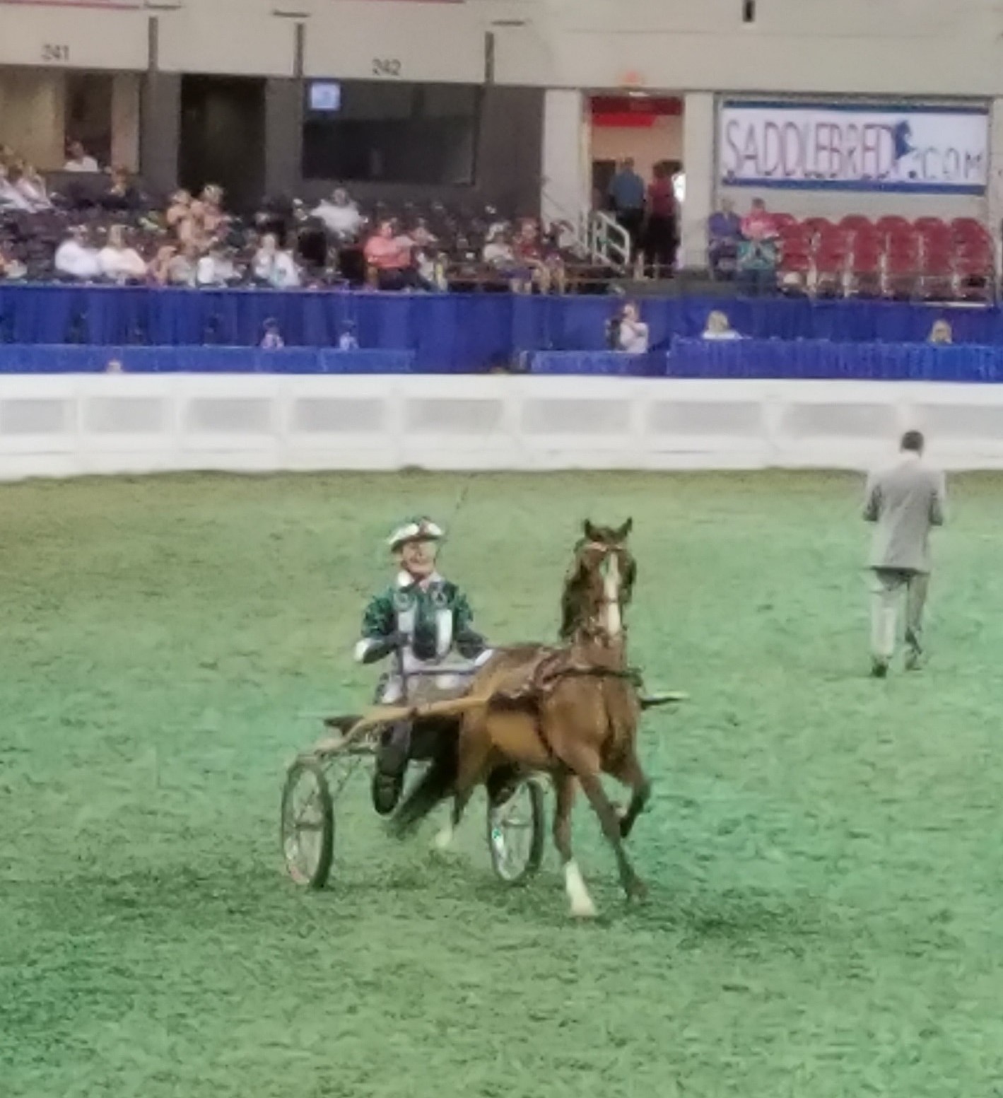 The American Saddlebred: 8/25/17 World's Championship Horse Show at ...