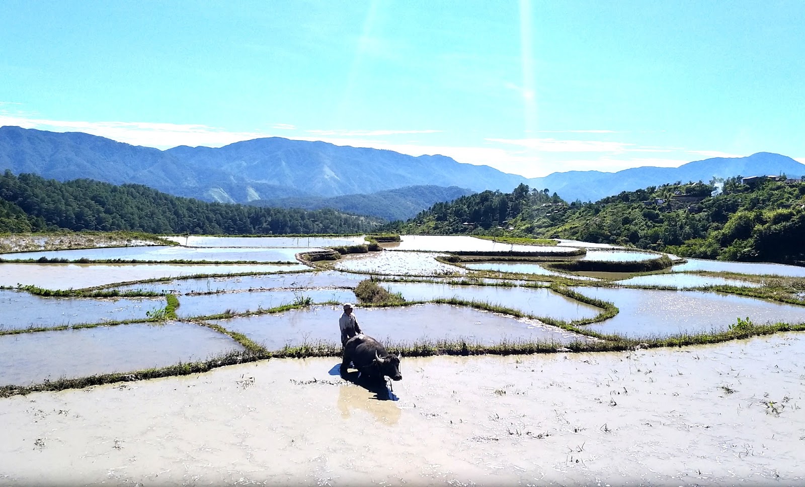 Maligcong Rice Terraces: The Wonderful Gem of Bontoc - The Pinoy Traveler