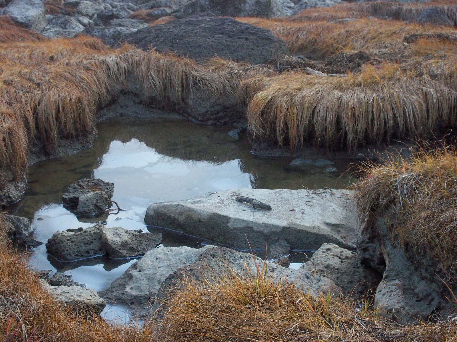 My Life (and teaching) in Alaska: Stebbins: Take Two