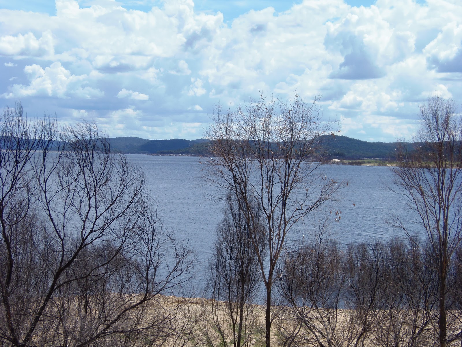 Solo Steve On The Road: COPETON DAM NORTHERN FORESHORE