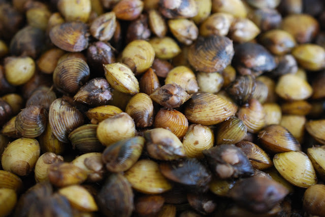 INFORMASI ETOK @ ETAK | AKU ANAK PAHANG