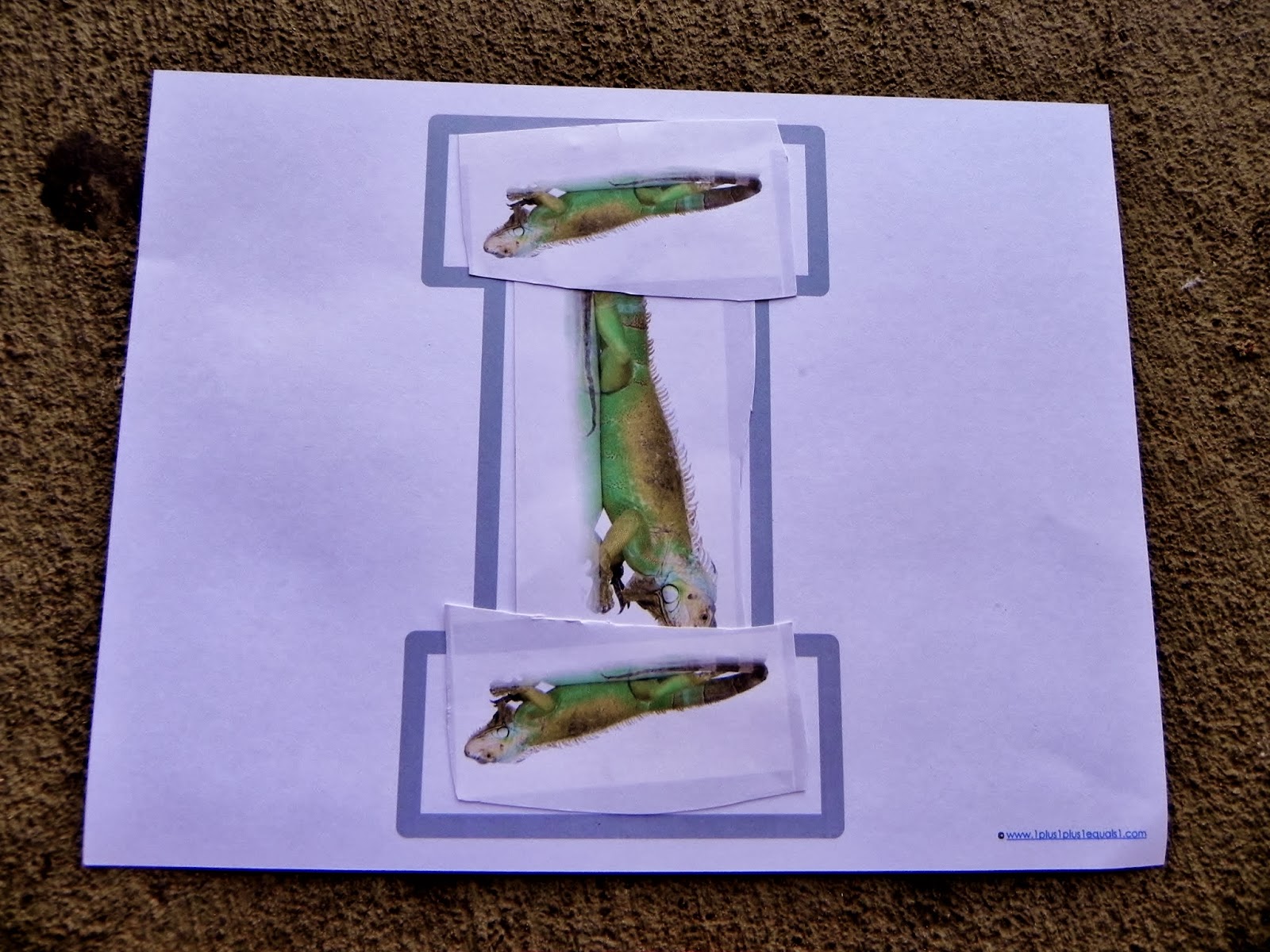 The Fantastic Five: Animal ABCs: Letter I
