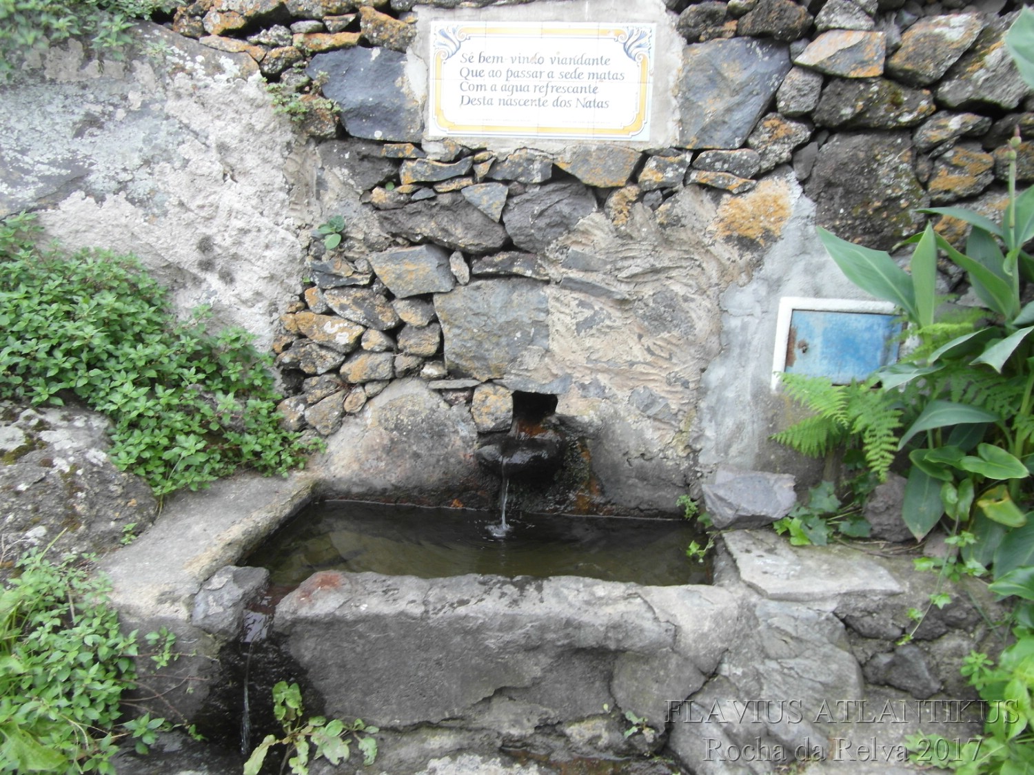 FLAVIUS ATLANTIKUS: Rocha da Relva - S. Miguel Island - Azores - Portugal