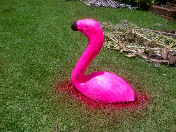 Domestic Goddess in the Making: How to boil a flamingo