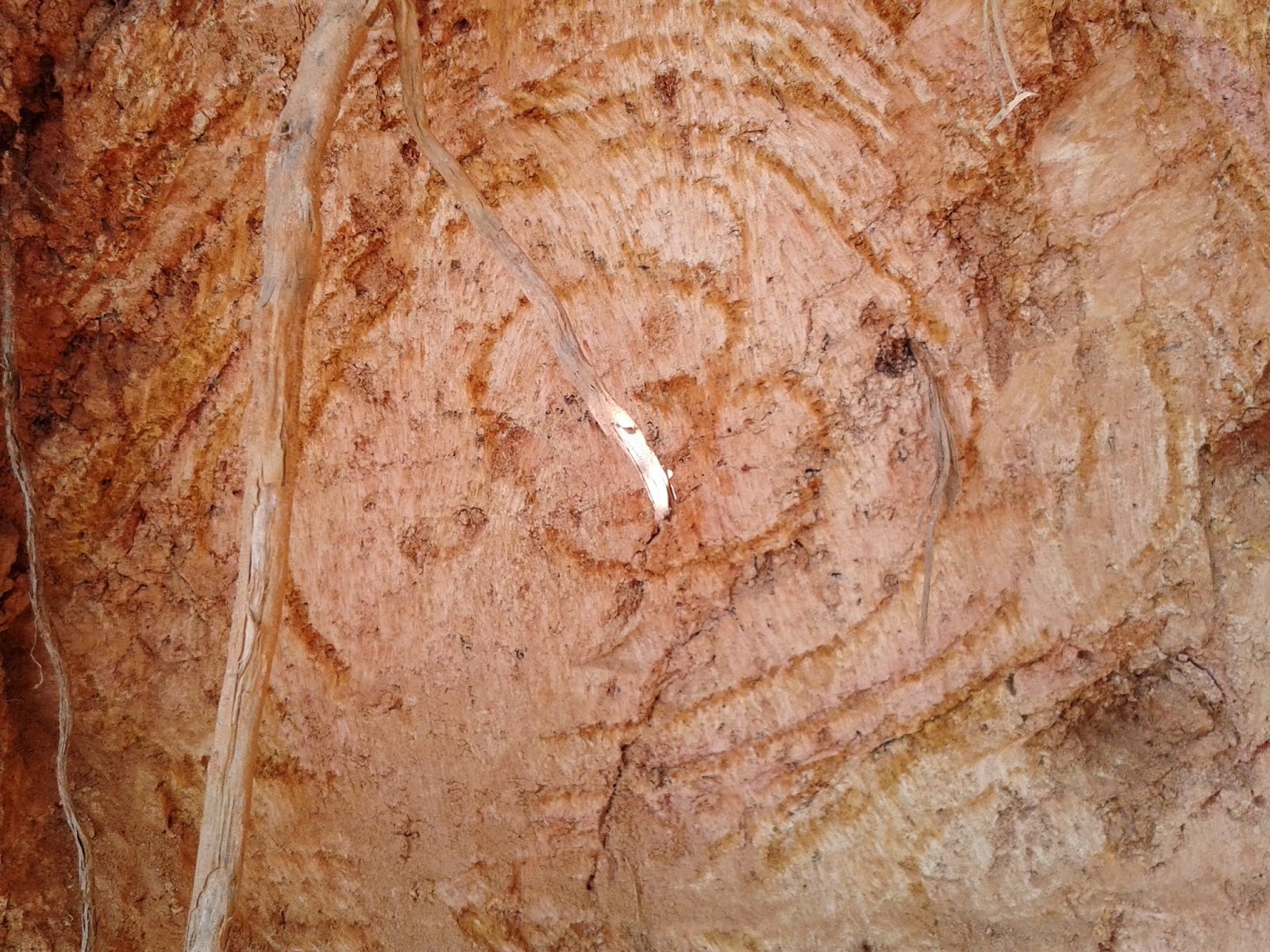 Meu Cosmos: Nota de uma aula de campo (geologia/pedologia) da UFV.