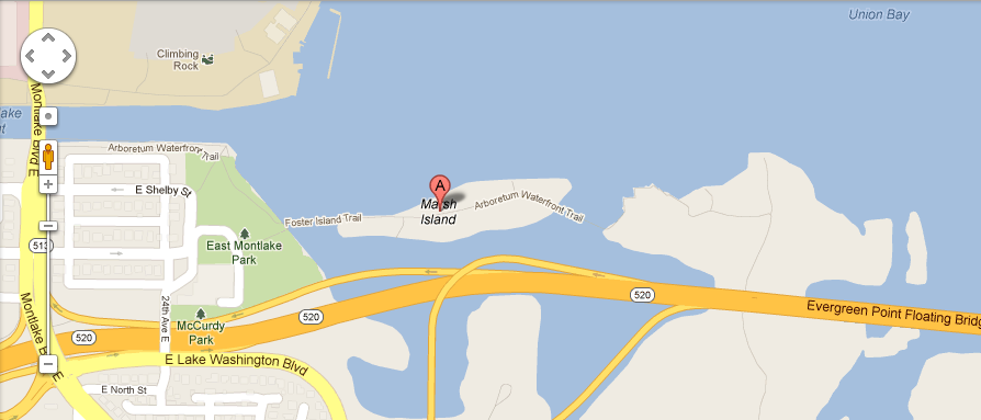 Emily's Puget Sound Journal: Week 1