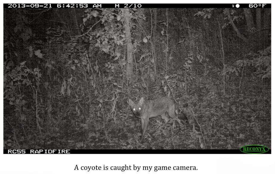 Texas Cryptid Hunter: Waxahachie Field Report: An Interesting Day