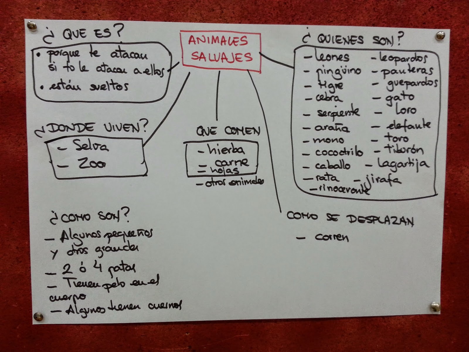 UNA ESCUELA UNA ILUSION: NUEVO PROYECTO "LOS ANIMALES SALVAJES"