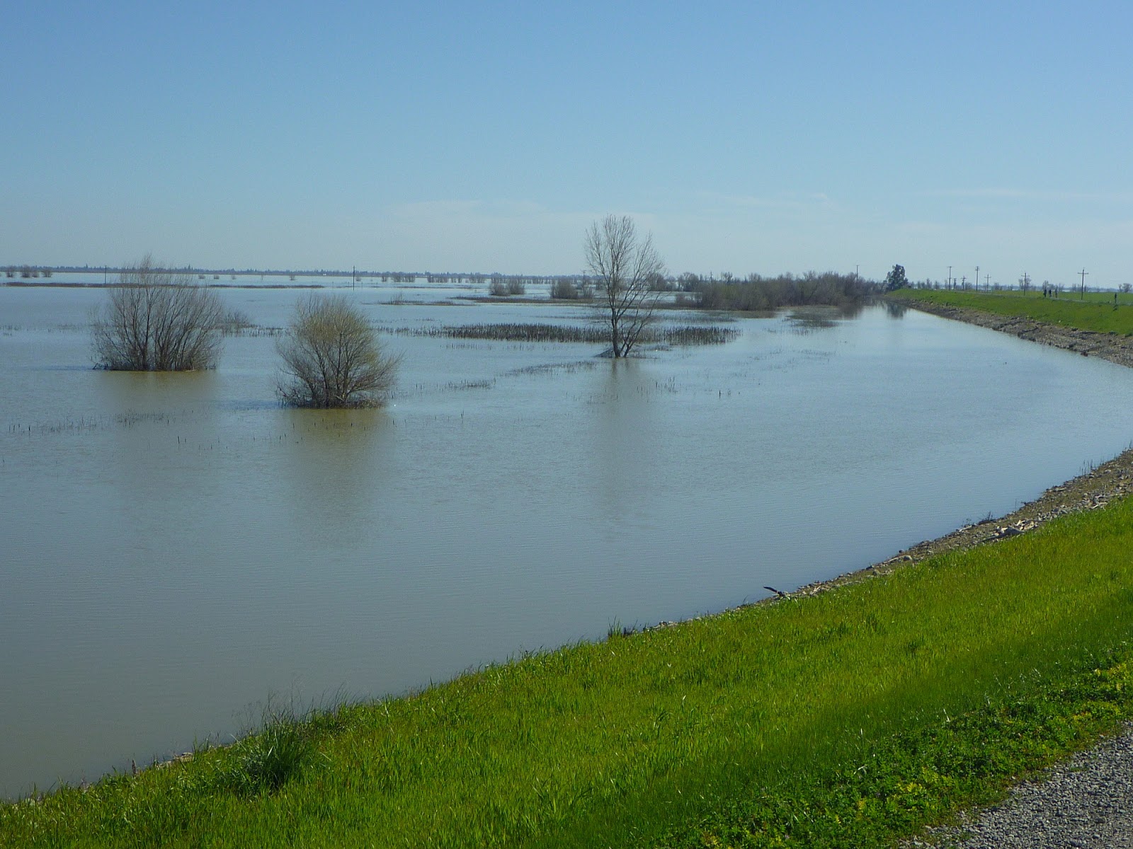 Trailing Ahead: West-Levee hiking alongside the Yolo Bypass Wildlife ...