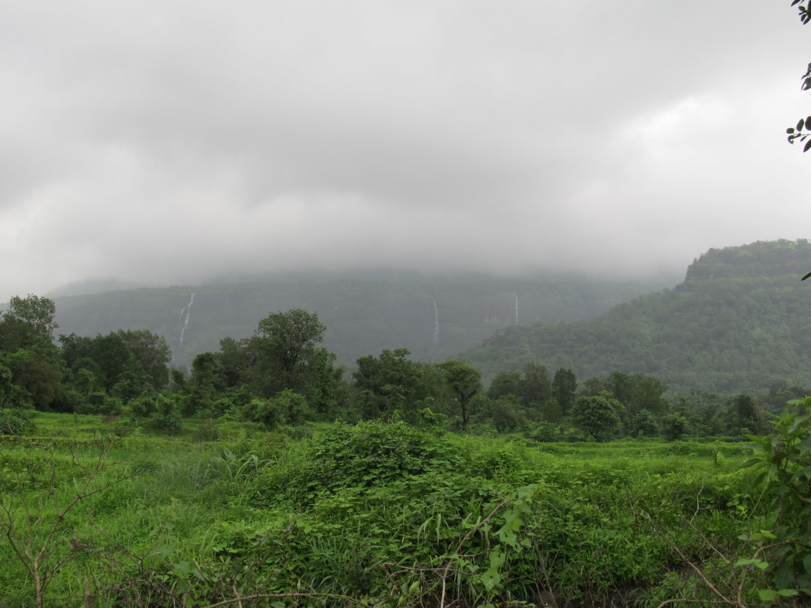 photos of trek trip: Bhimashankar