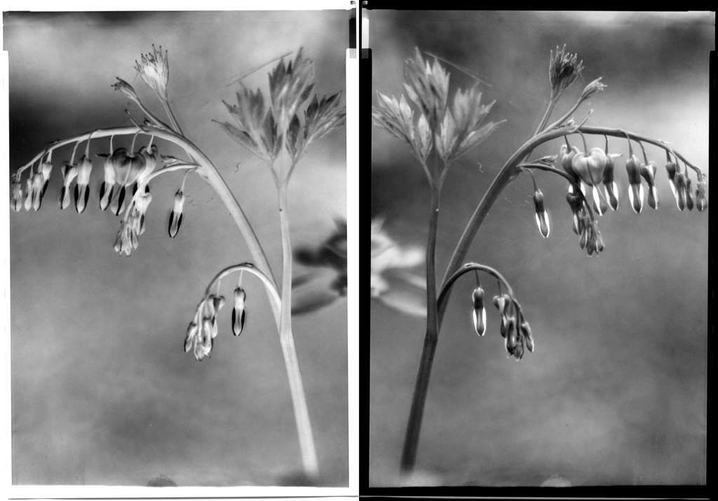 Historic photographic processes