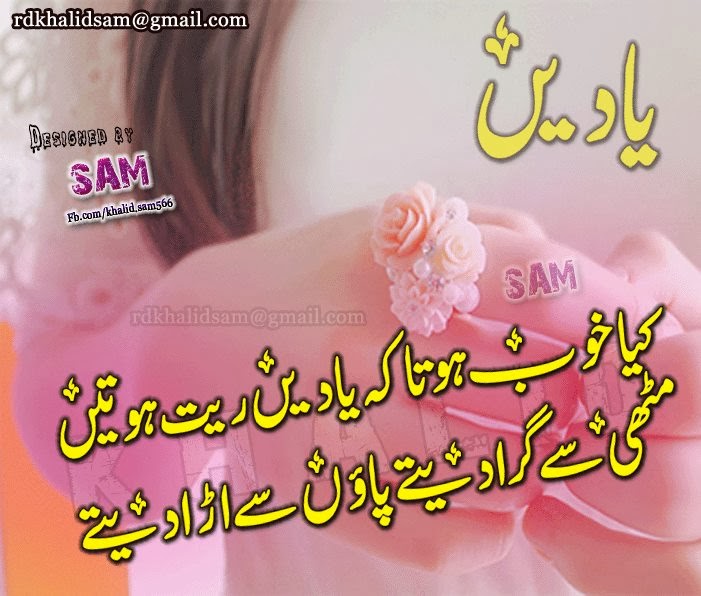 Shair - JungleKey.in Image