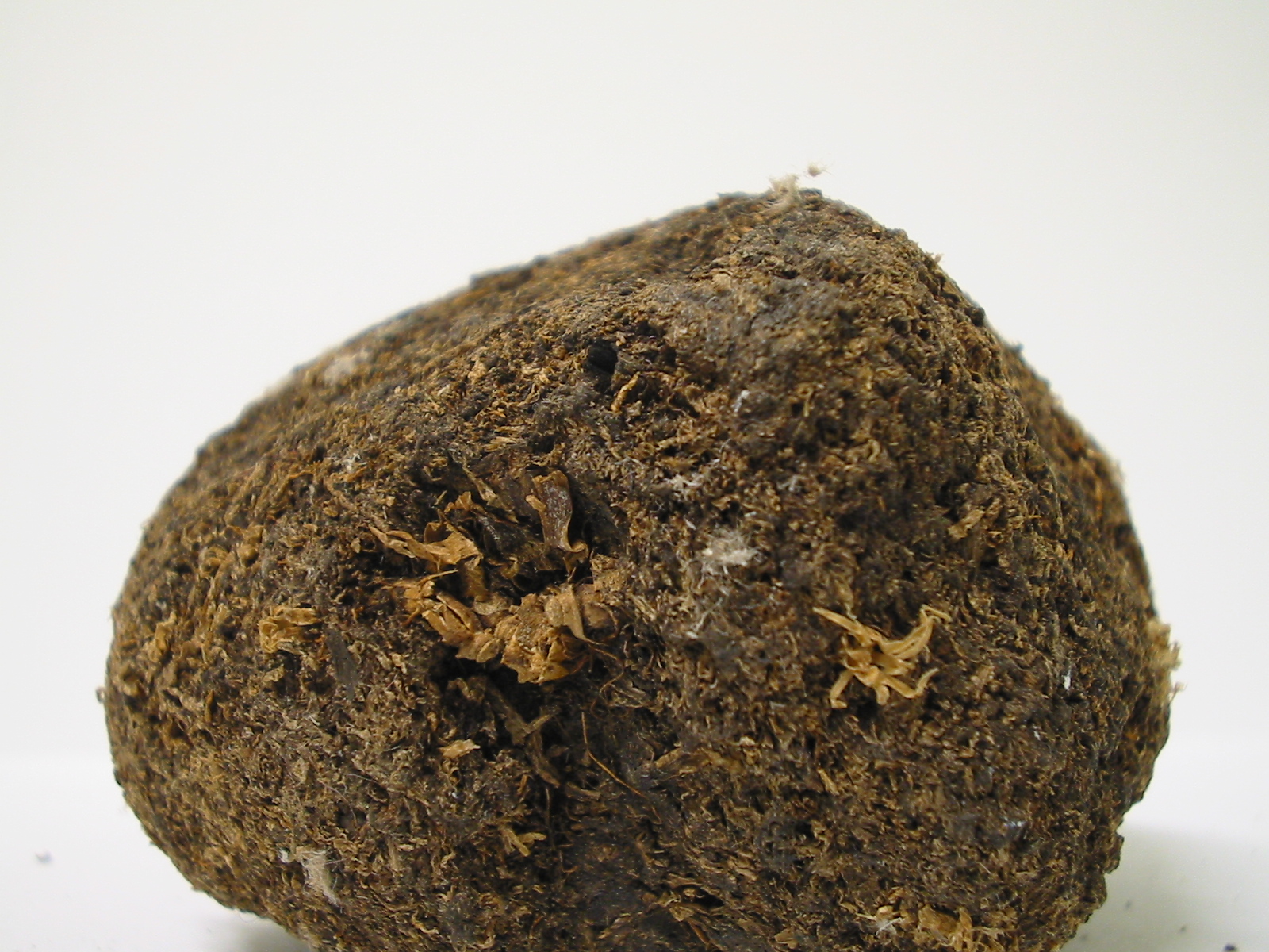 APRENDER CIENCIA INVESTIGANDO: Rocas sedimentarias